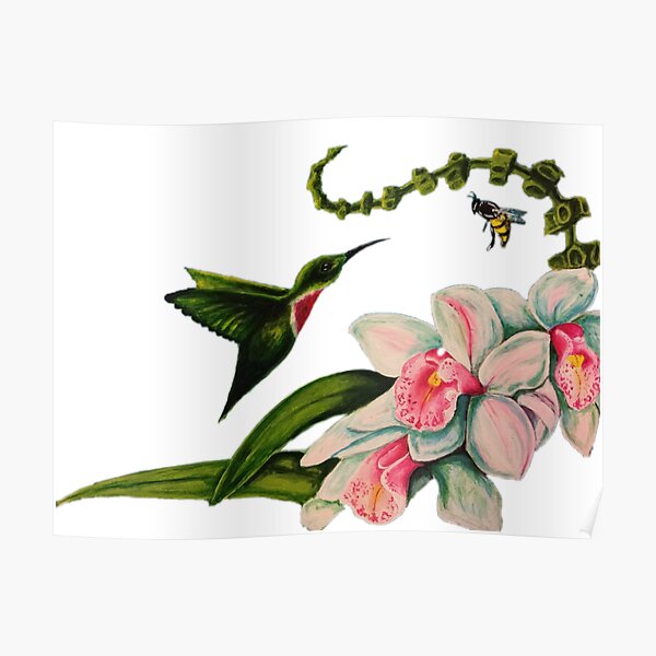 "Hummingbird vs Bee Redux" Poster by HeatherThomas | Redbubble