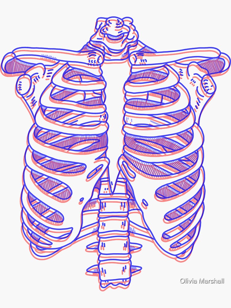 "3D Rib-cage" Sticker by Livy059 | Redbubble