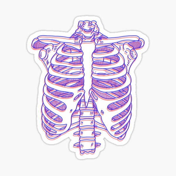 "3D Rib-cage" Sticker by Livy059 | Redbubble