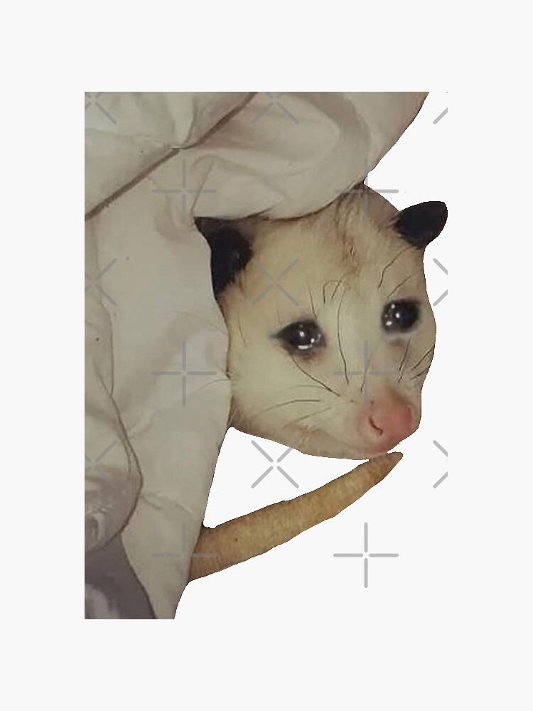 "possum crying" Sticker for Sale by artist-toes | Redbubble