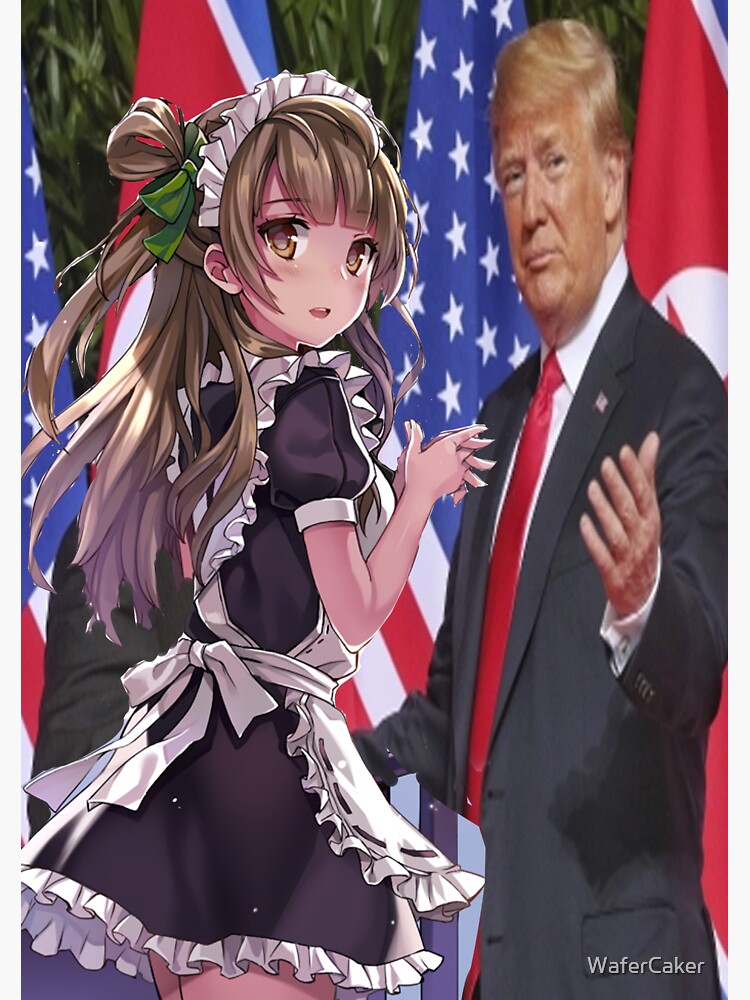 "Trump w/ Anime Girl" Sticker for Sale by WaferCaker | Redbubble