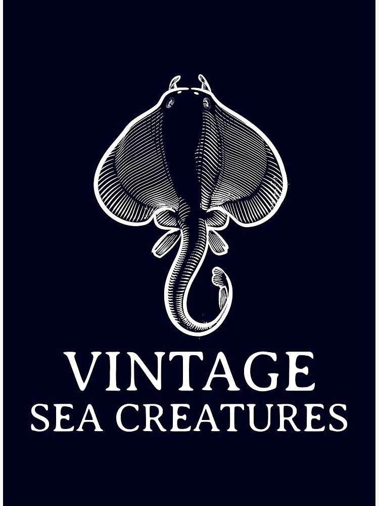 "Manta ray- Vintage sea creatures" Photographic Print by chrichridesign ...