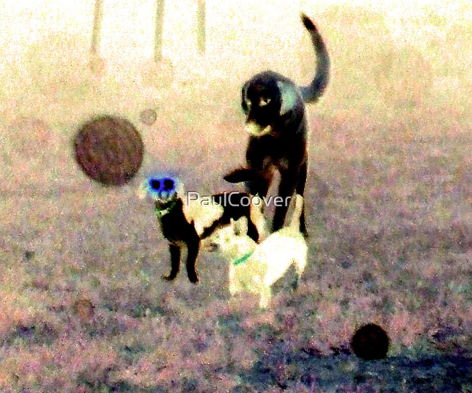 "Orb Looking at Dogs -- Dogs Looking Back" by PaulCoover | Redbubble