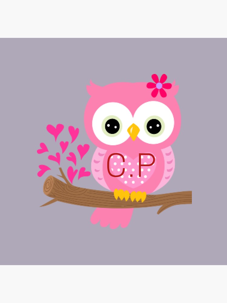 "Special logo pakshi kartoon" Sticker for Sale by Rohit28 | Redbubble