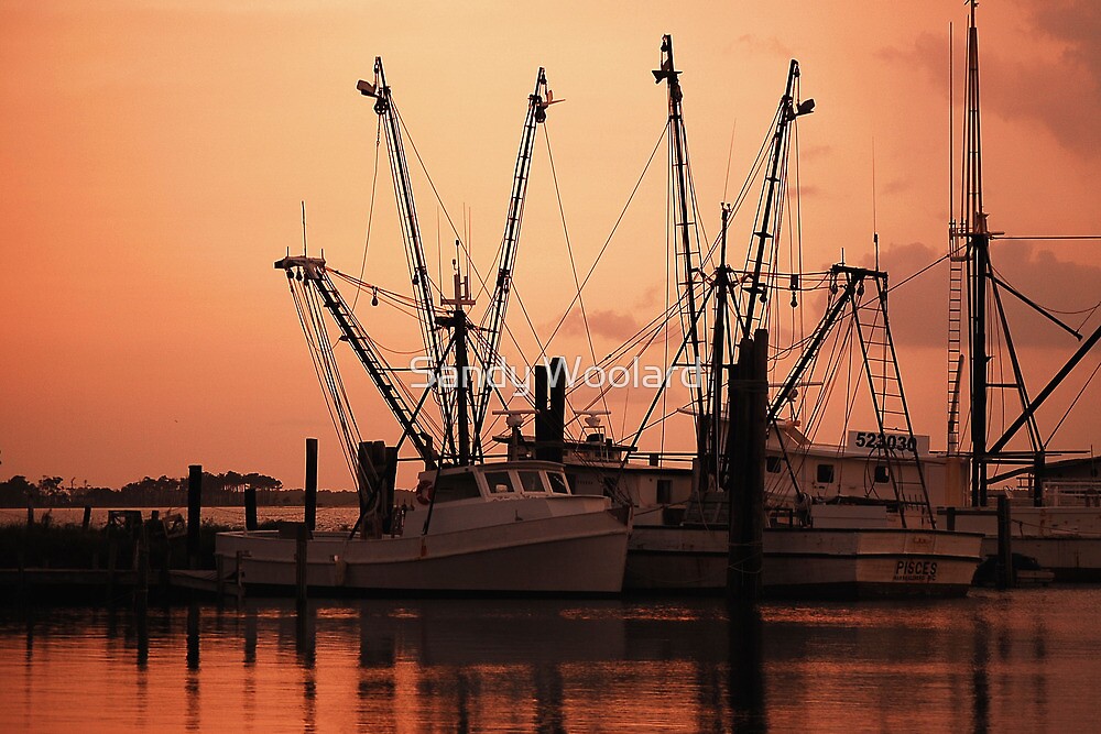 "Peaceful Before the Storm" by Sandy Woolard | Redbubble