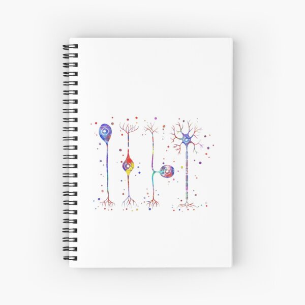 "Four types of neurons" Journal for Sale by Rosaliartbook | Redbubble