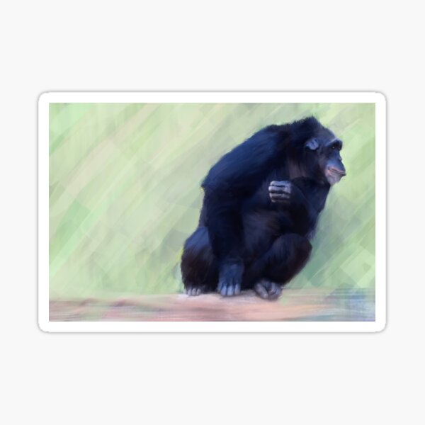 "Sad Monkey" Sticker for Sale by Artquill | Redbubble