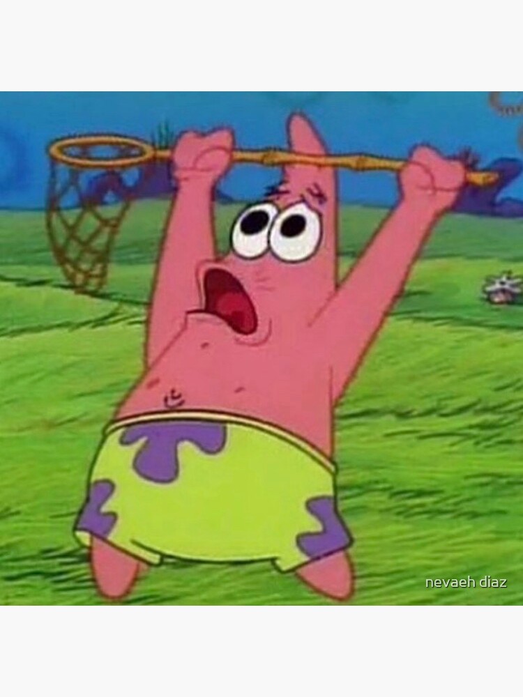 "Patrick holding a net" Sticker for Sale by rordon-gamsayy | Redbubble