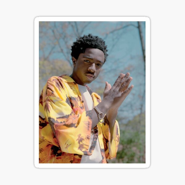 "caleb mclaughlin" Sticker by LaurenSwiffin | Redbubble