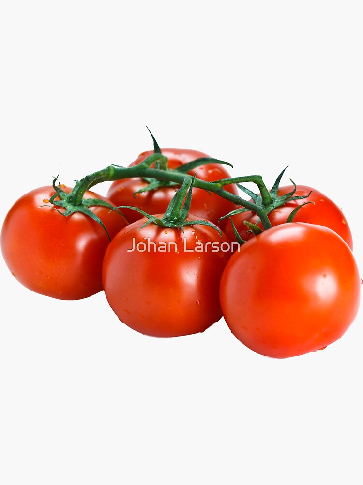 "Tomatoes" Sticker by Jaykayl | Redbubble