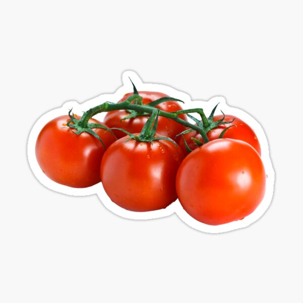 "Tomatoes" Sticker for Sale by Jaykayl | Redbubble