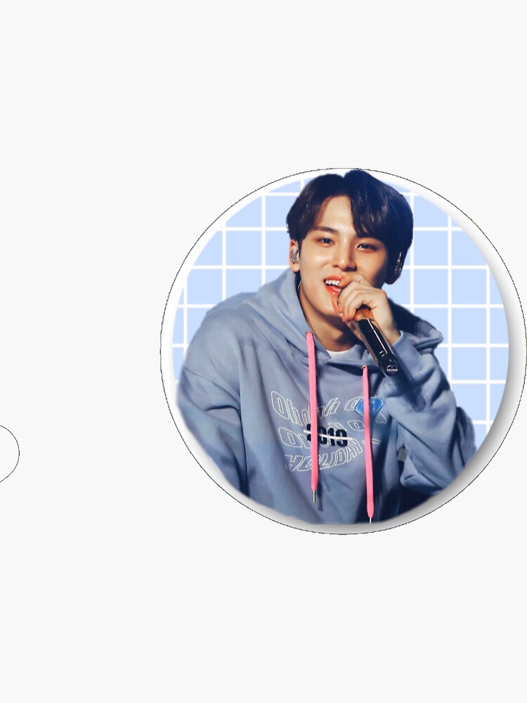 "mingyu sticker ♡" Sticker by universefactory | Redbubble