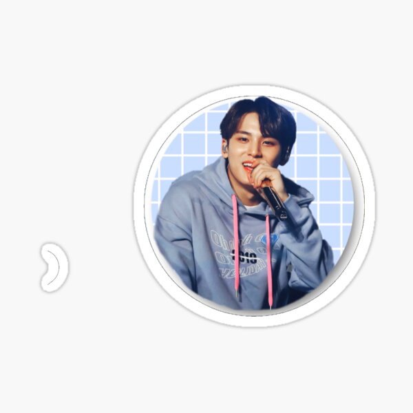 "mingyu sticker ♡" Sticker by universefactory | Redbubble