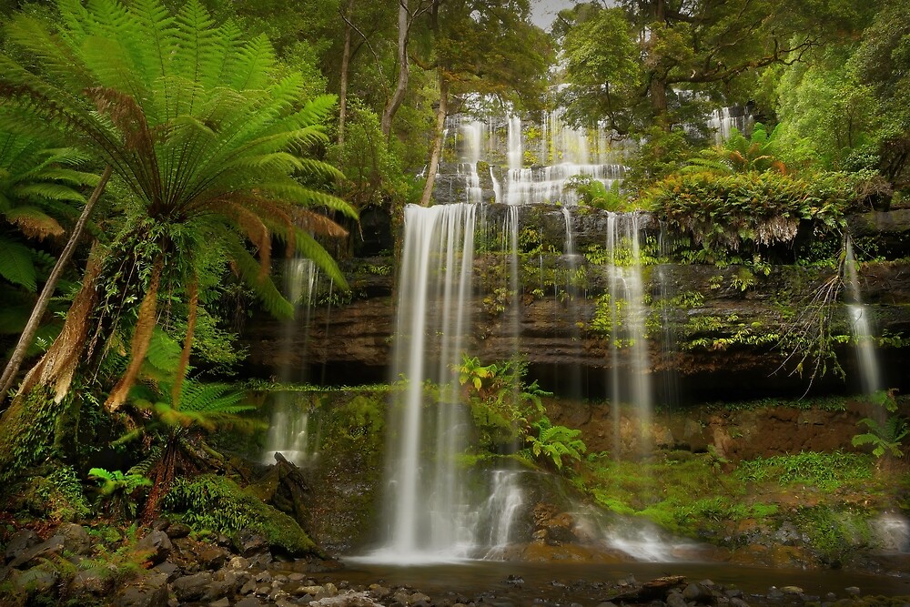 "Russell Falls, Tasmania" by Kevin McGennan | Redbubble