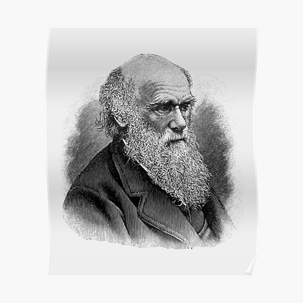 "Charles Darwin Vintage Engraving" Poster for Sale by Beltschazar ...