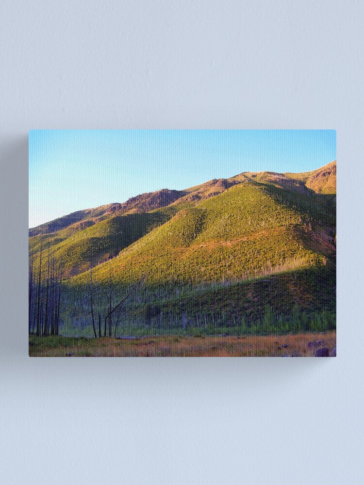 "Apgar Mountains (Glacier National Park, Montana, USA)" Canvas Print ...