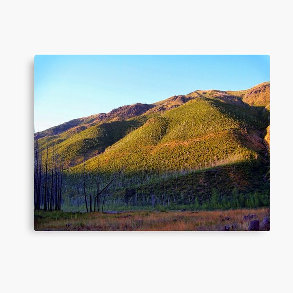 "Apgar Mountains (Glacier National Park, Montana, USA)" Canvas Print ...
