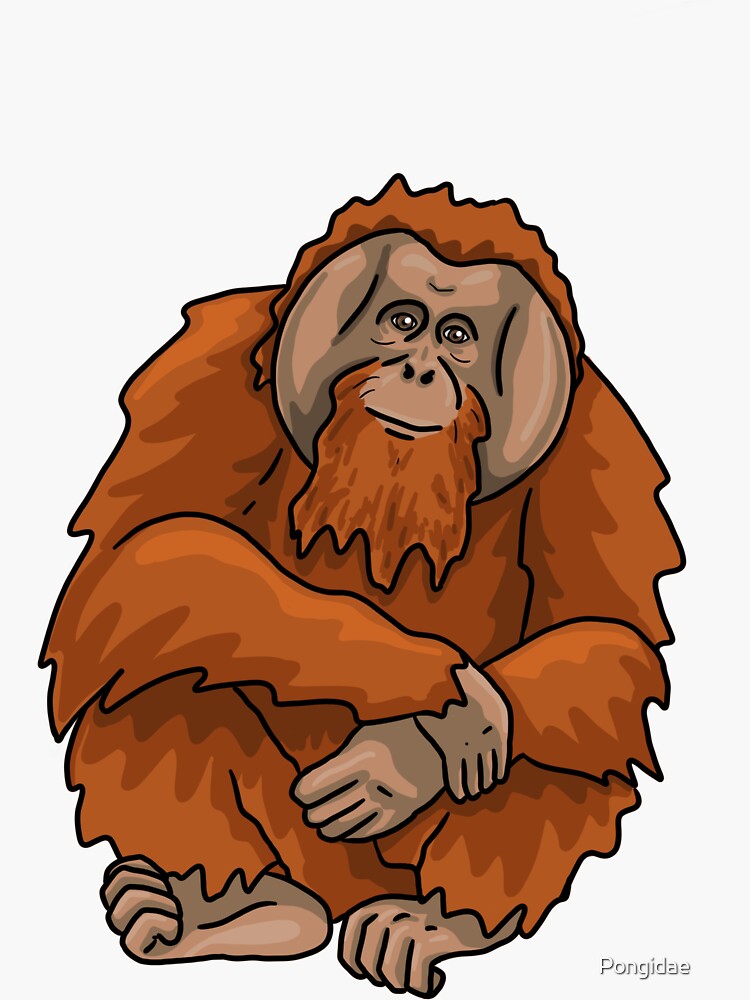 "Male orangutan (Pongo pygmaeus)." Sticker for Sale by Pongidae | Redbubble