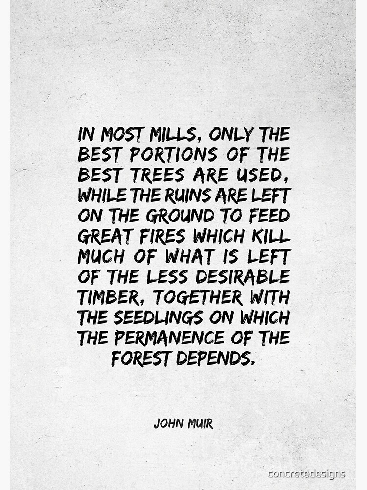 "In most mills, only the best portions of the best trees are used ...