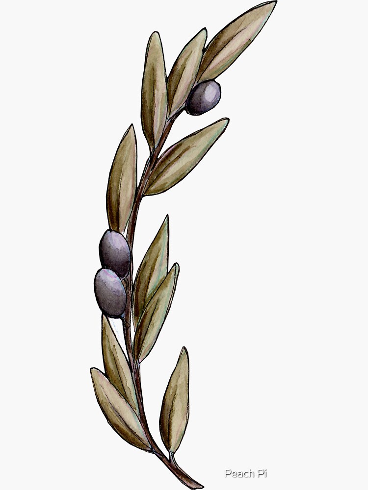 "Olive Branch" Sticker for Sale by BriPi | Redbubble