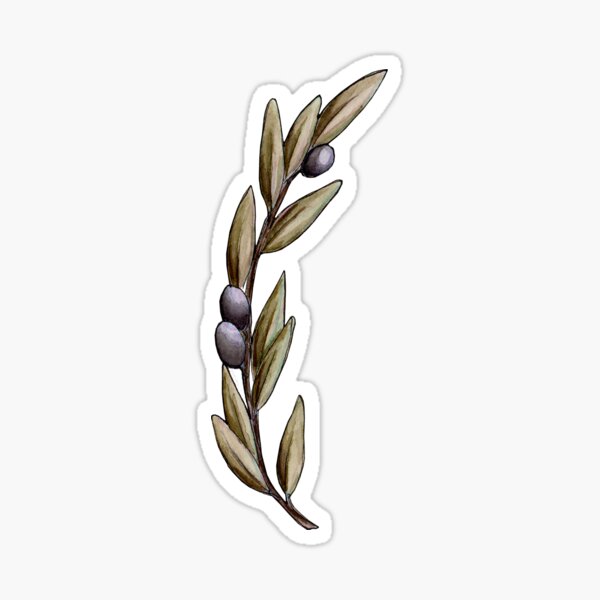 "Olive Branch" Sticker for Sale by BriPi | Redbubble