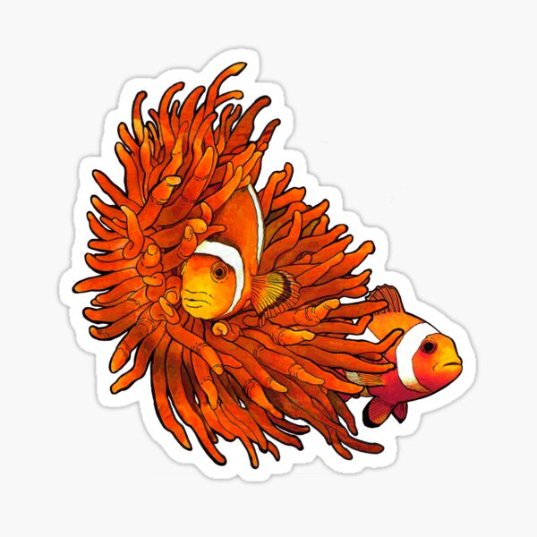 "Clown Fish snuggling with their Anemone" Sticker for Sale by Juan ...