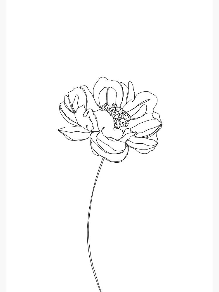 Single Flower Illustration