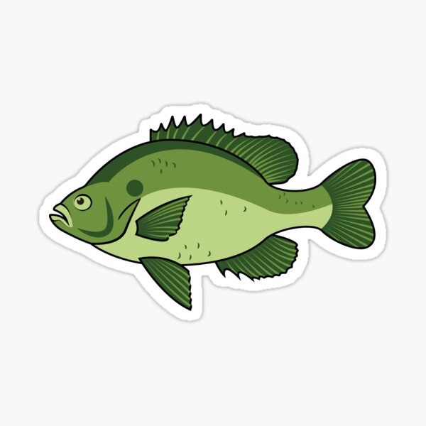 "Green Sunfish " Sticker for Sale by LF-Designs- | Redbubble