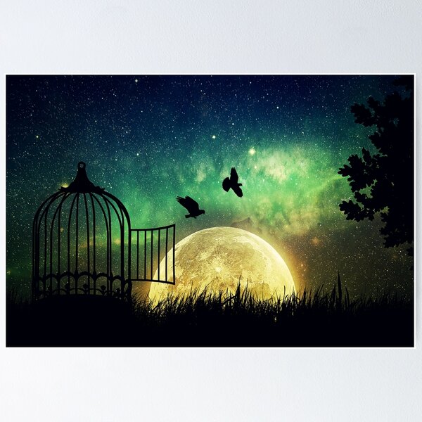 "moonlight birds released " Poster for Sale by psychoshadow | Redbubble
