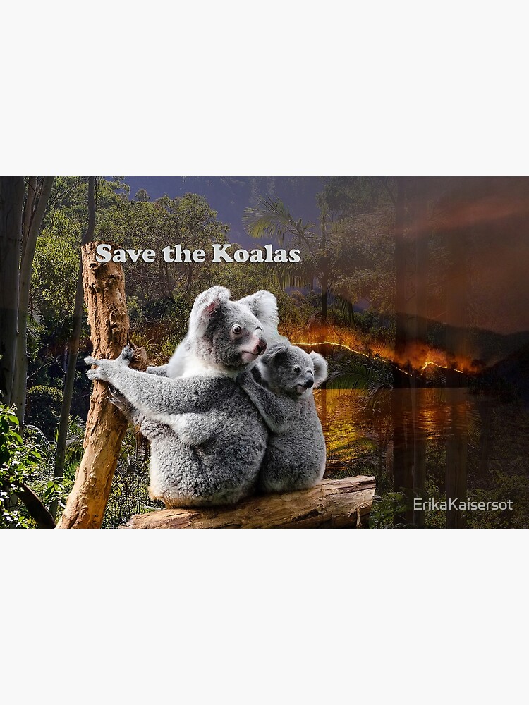 "Save the Koalas" Poster for Sale by ErikaKaisersot | Redbubble