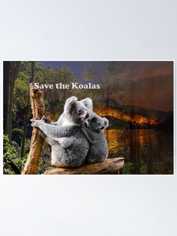 "Save the Koalas" Poster for Sale by ErikaKaisersot | Redbubble
