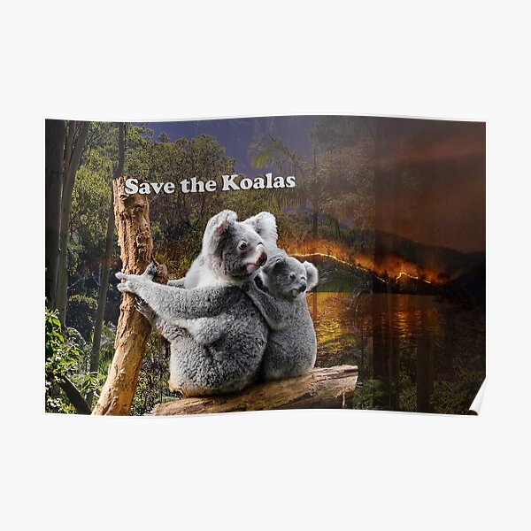 "Save the Koalas" Poster for Sale by ErikaKaisersot | Redbubble