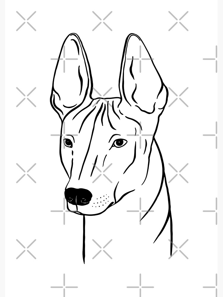 "Xoloitzcuintli (Black and White)" Art Print for Sale by illucalliart ...