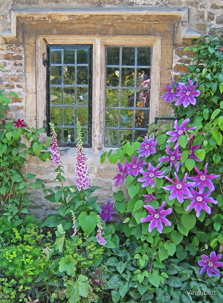 "Cottage Window" by AndyLatt | Redbubble