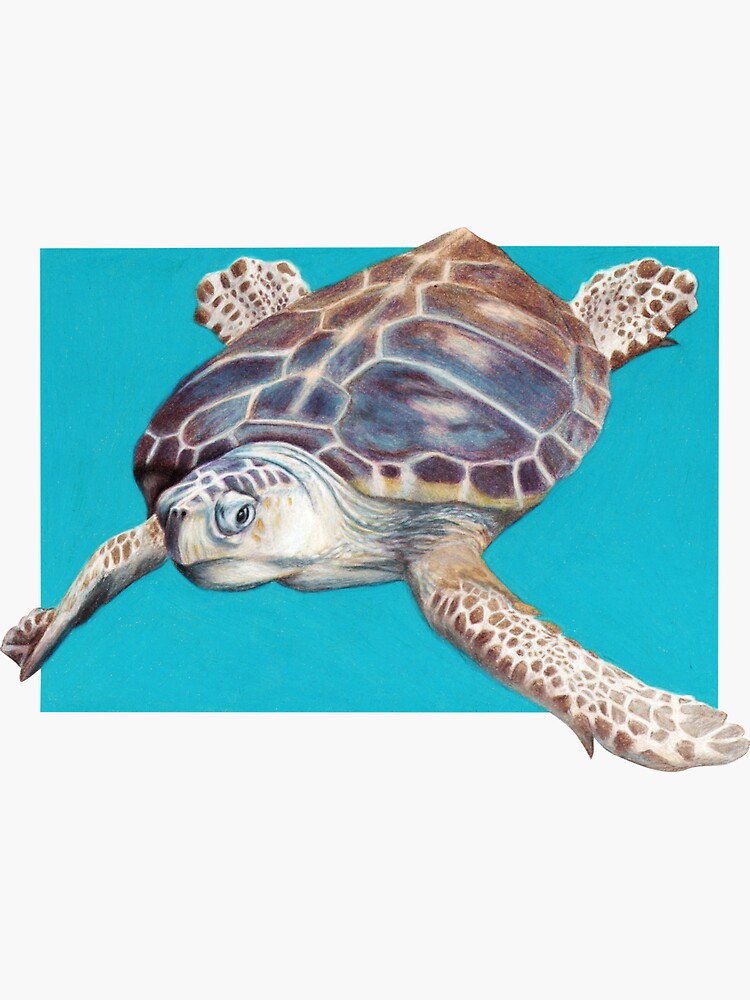 "Loggerhead Sea Turtle Art by Artist Sherrie Spencer" Sticker by ...