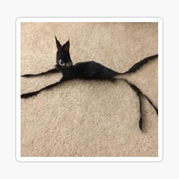 "Strange Cursed Cat Meme" Sticker by sp00kem | Redbubble