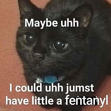 Fentanyl Memes Expanding Brain Meme Imgflip