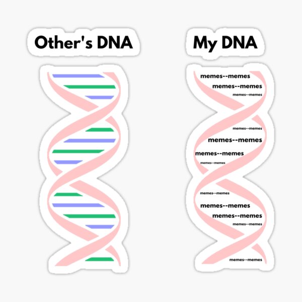"Memes in My DNA" Sticker for Sale by labstud | Redbubble