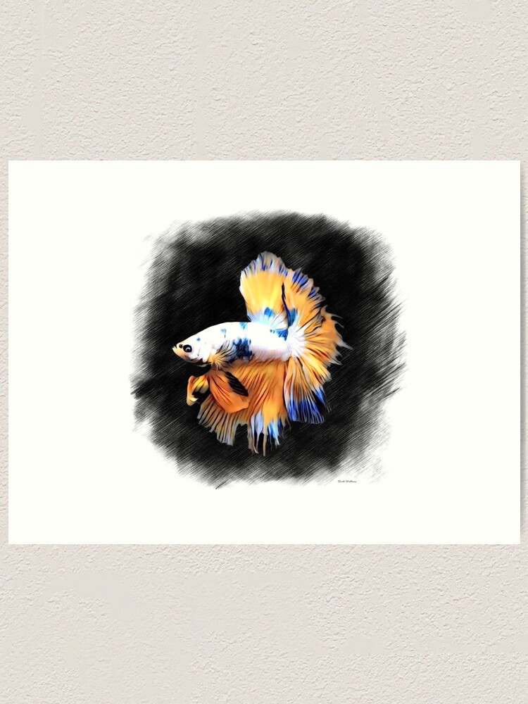 "White Dragon Bumblebee Betta Fish Sketch" Art Print by Digital-designs ...
