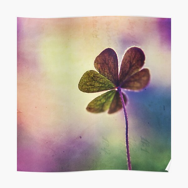 " Rainbow Light Clover Macro Abstract Art" Poster for Sale by tanjica ...