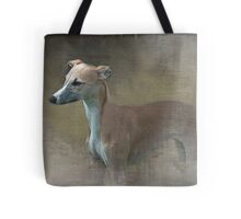 "The whippet" by almaalice | Redbubble