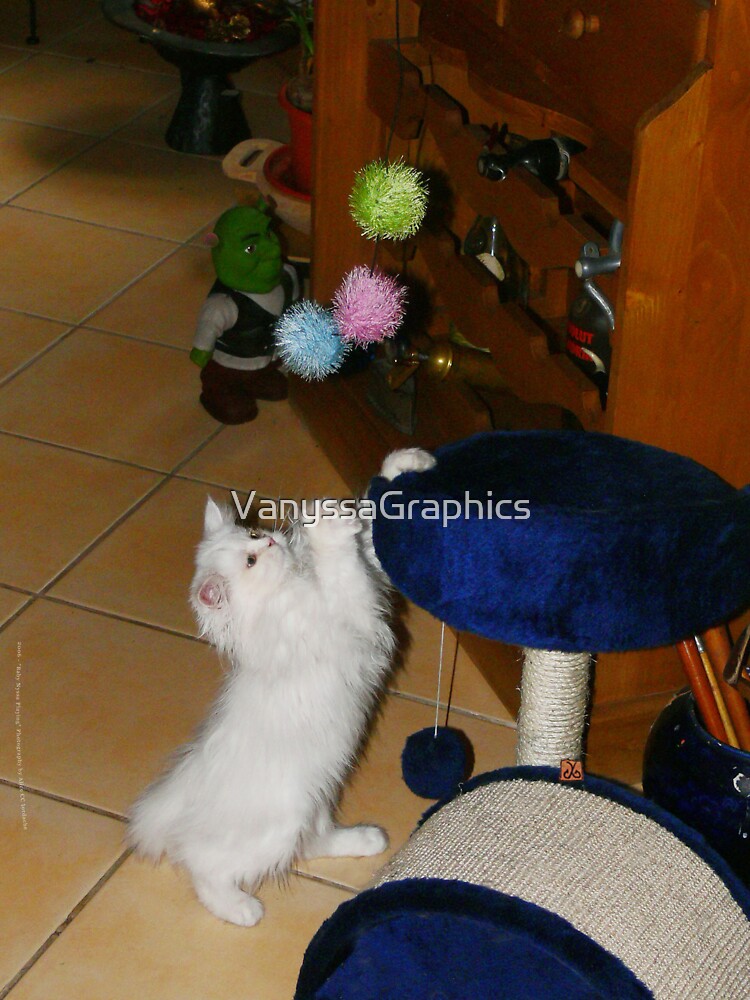 "White Persian Fluffy Baby Cat Nyssa Playing (Photo by ACCI)" Sticker ...