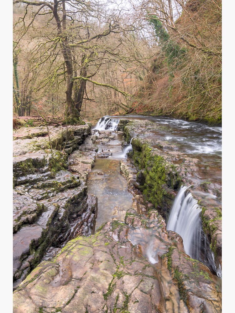 "WATERY PREQUEL" Sticker for Sale by Andrew-Hocking | Redbubble