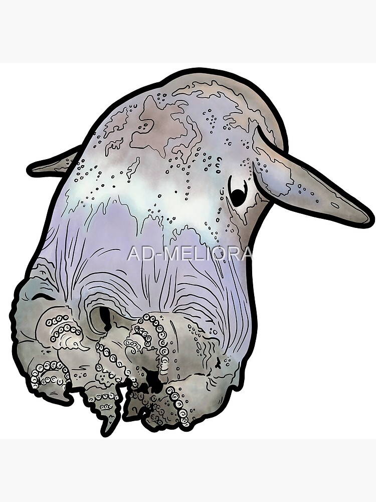 "Dumbo Octopus" Poster by AD-MELIORA | Redbubble