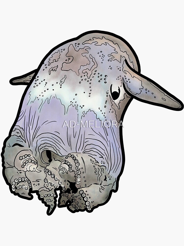 "Dumbo Octopus" Sticker by AD-MELIORA | Redbubble
