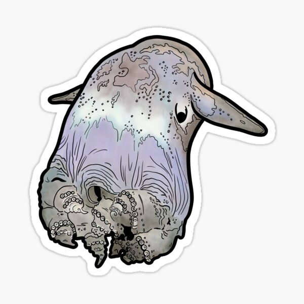 "Dumbo Octopus" Sticker by AD-MELIORA | Redbubble
