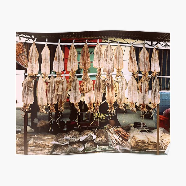 "Dried Cuttle Fish" Poster for Sale by Nyonyalicious | Redbubble