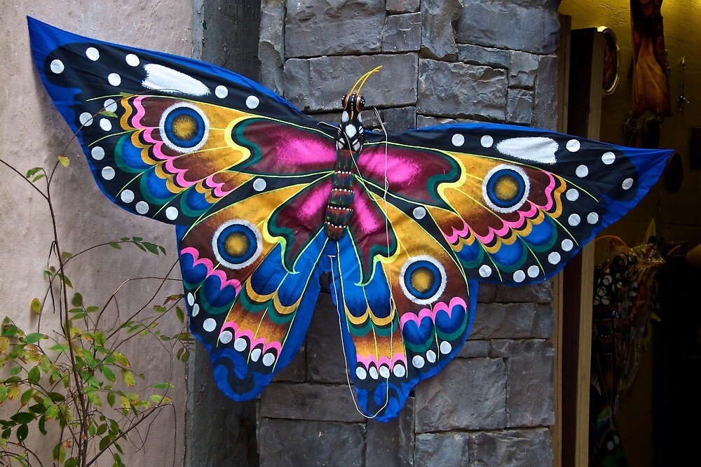 "Blue butterfly kite" by Ann Reece | Redbubble