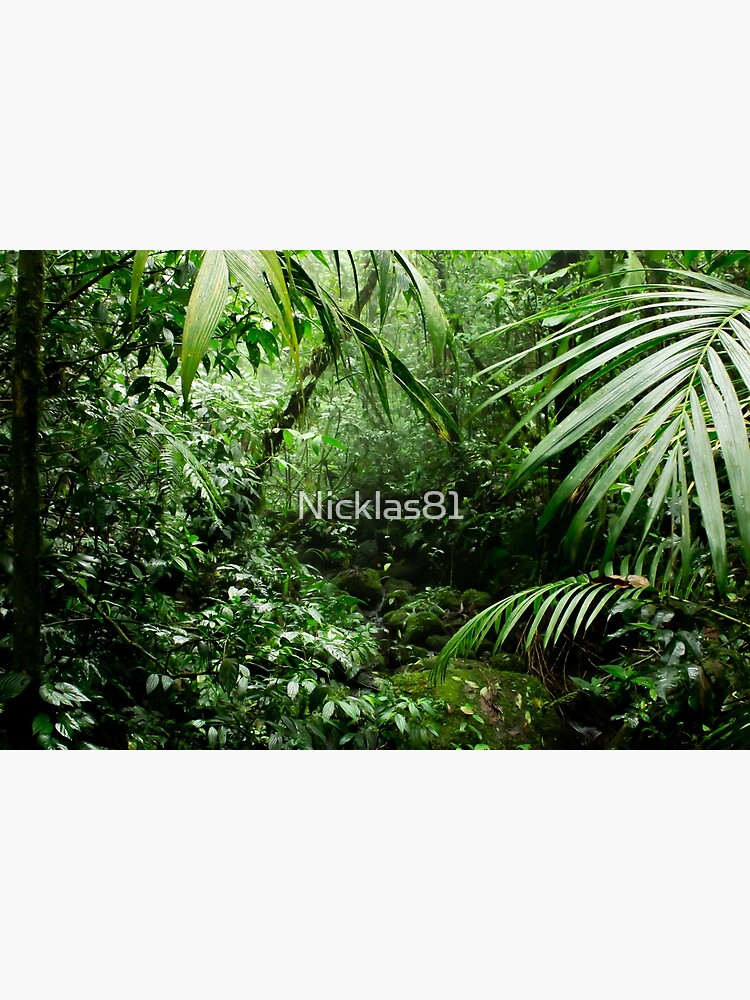 Misty Rainforest Creek Bath Mat sold by Eddie Chan | SKU 24657660 | 55% ...