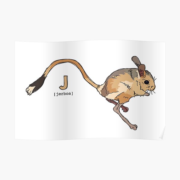 "Funky Animal Alphabet: J is for Jerboa" Poster for Sale by ...